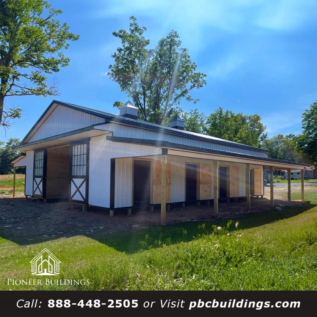 Stall Barn | EF003 | Built By Pioneer Buildings